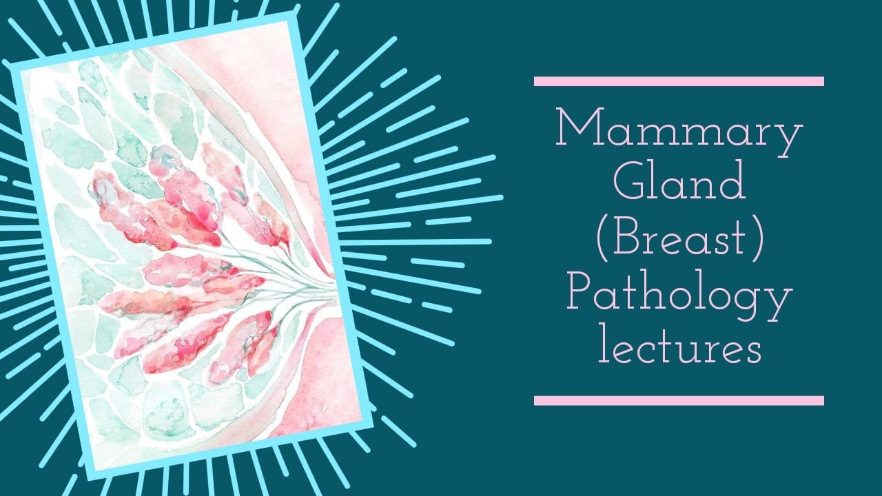 BREAST PATHOLOGY lecture 2, CLINICAL PRESENTATION of breast disease ...