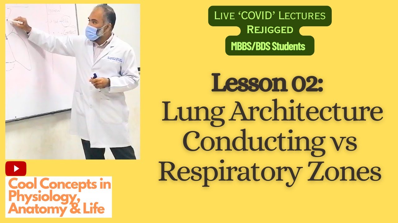 2. Lung Architecture | Conceptual Guyton Respiratory Physiology | 1st ...