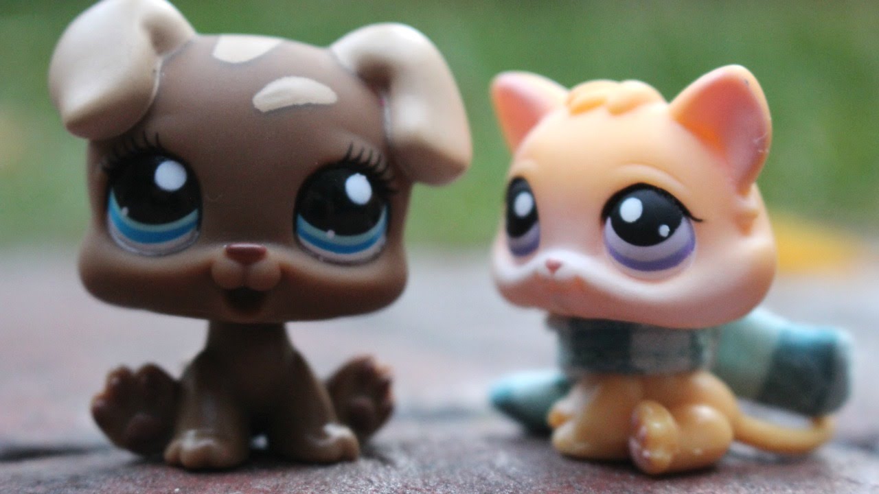 LPS: Pre-K (Part 5) - YouTube