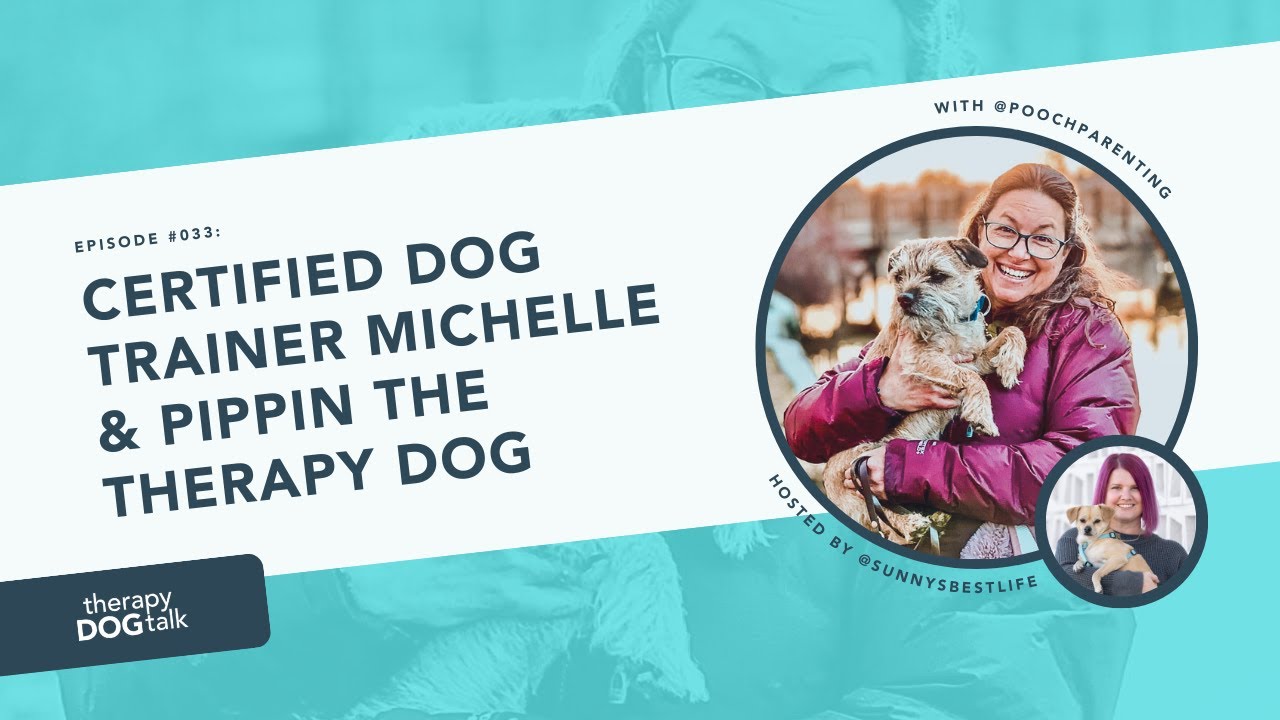 #033: Certified Dog Trainer Michelle and Pippin the Therapy Dog - YouTube
