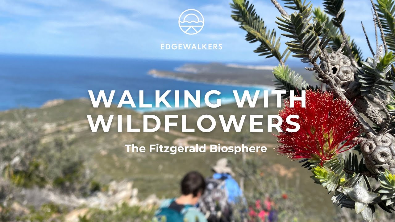 Walking with Wildflowers Fitzgerald Biosphere - YouTube