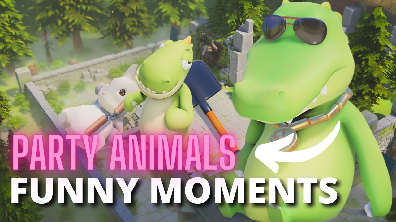 Party Animals - FUNNIEST Compilation Ever ! | Random Compilation - YouTube