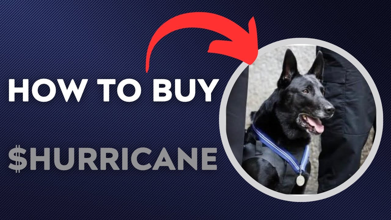 How To BUY $Hurricane - RIP Hurricane TOKEN CRYPTO COIN IN 60 SECONDS ...