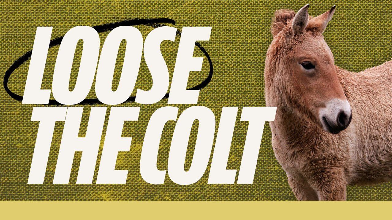 Loose The Colt | October 20th, 2024 | Pastor Sizemore - YouTube