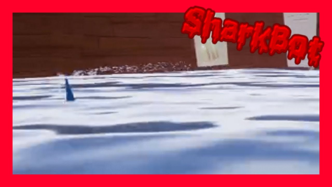 SharkBot (Hello Neighbor) - YouTube