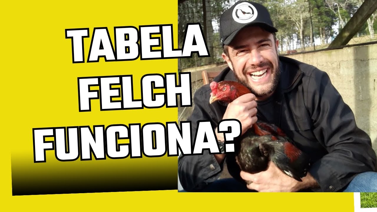 BOCA DE LATA FALA SOBRE TABELA FELCH - YouTube