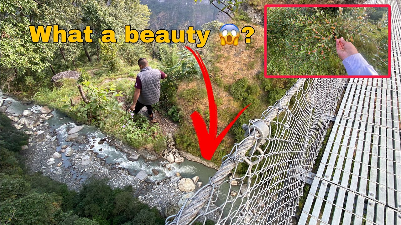 Exploring the Stunning Kaule Gauda Hanging Bridge & Banana Farms 🌿 ...