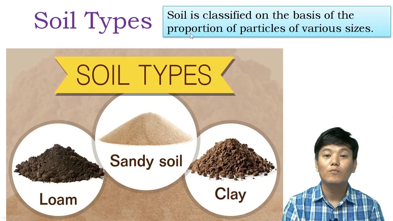 Class VII Science Chapter 9 Soil YouTube class-vii-science-chapter-9-soil-youtube