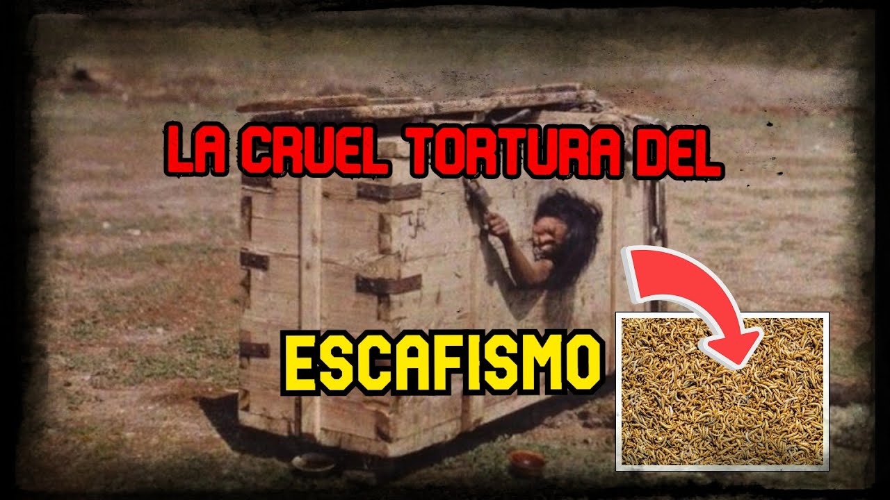 La CRUEL TORTURA del ESCAFISMO - YouTube