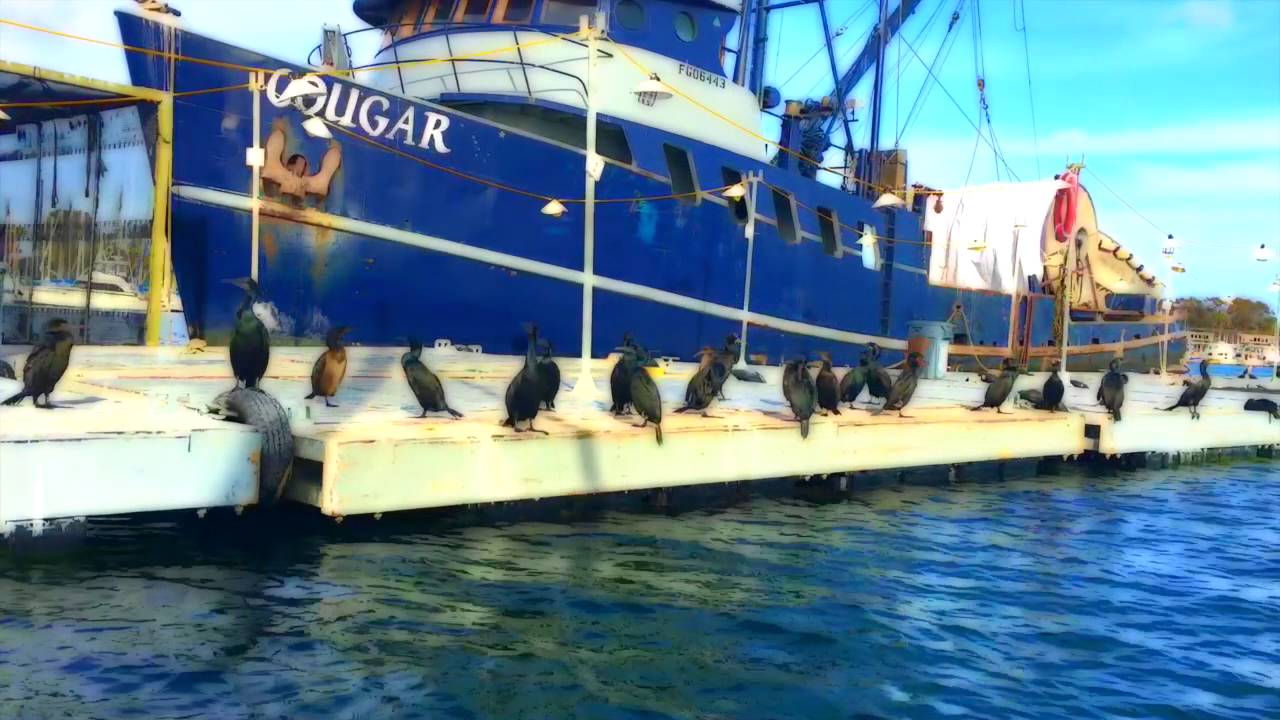 Universalize - Your Smile - YouTube