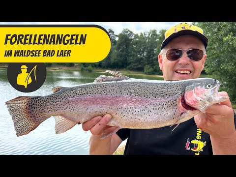 Forellenangeln am Waldsee Bad Laer