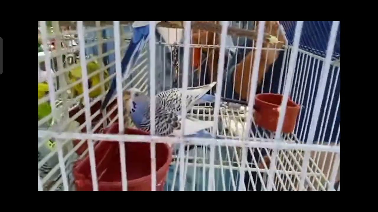 April 26, 2023 - YouTube