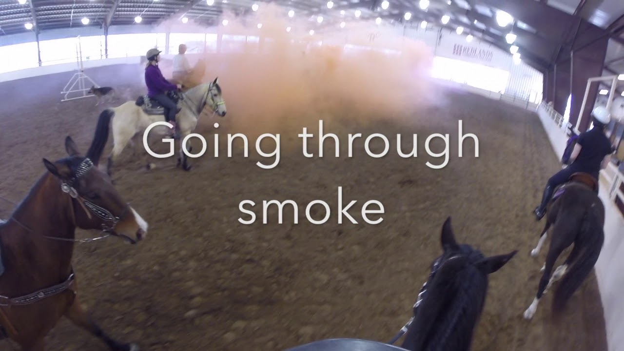 Bill Ritchey Mounted Police - YouTube