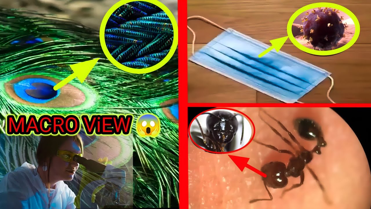 90% लोग नहीं न, Human Skin Under Microscope microscopic things#humanskin #microscopes - YouTube