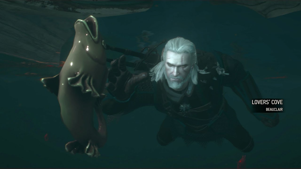 The Witcher 3, The Unicorn and Golden Fish - YouTube