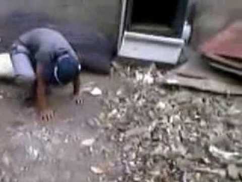 bobo parkour 3 boludes salto marica