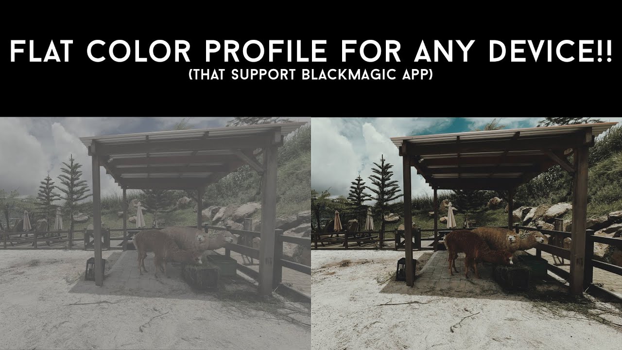 Flat color profile for any device (support blackmagic app) - YouTube