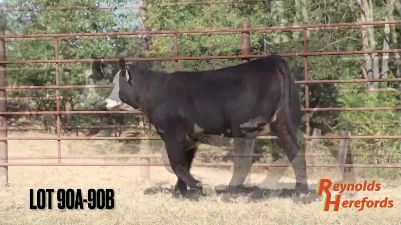 Reynolds 90A 90B - YouTube