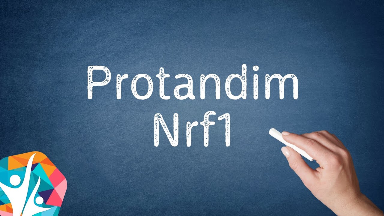 Protandim NRF1 Synergizer | Recharge & Energize - YouTube