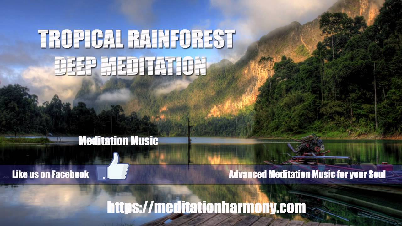 Powerful Meditation with Rainforest Sounds - YouTube