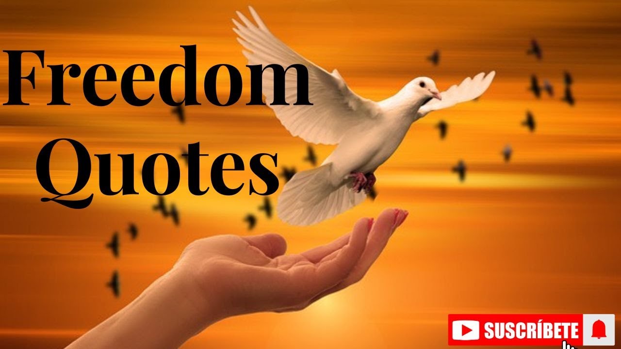 Freedom Quote | Girl Freedom Quote | Brave heart Freedom Quote - YouTube