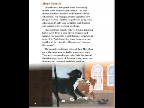 Open Court Bummer and Lazarus Read Aloud - YouTube