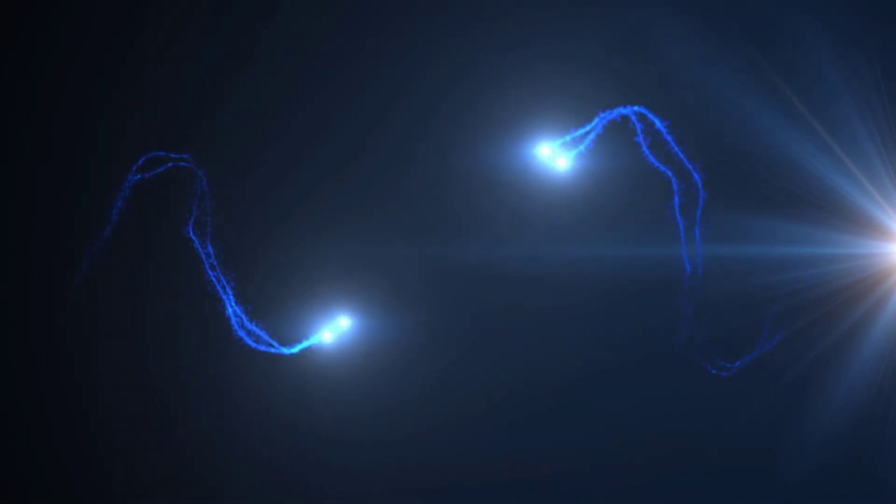 Header Footer Youtube