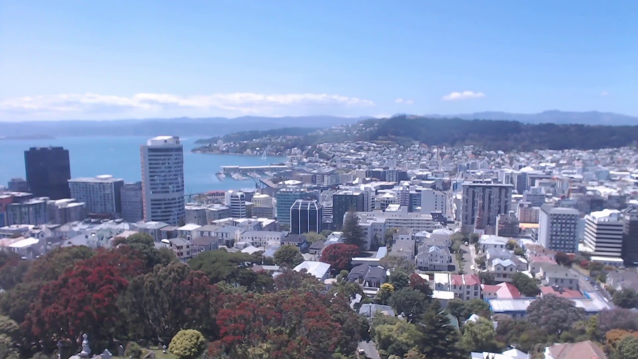Wellington NZ live stream - YouTube