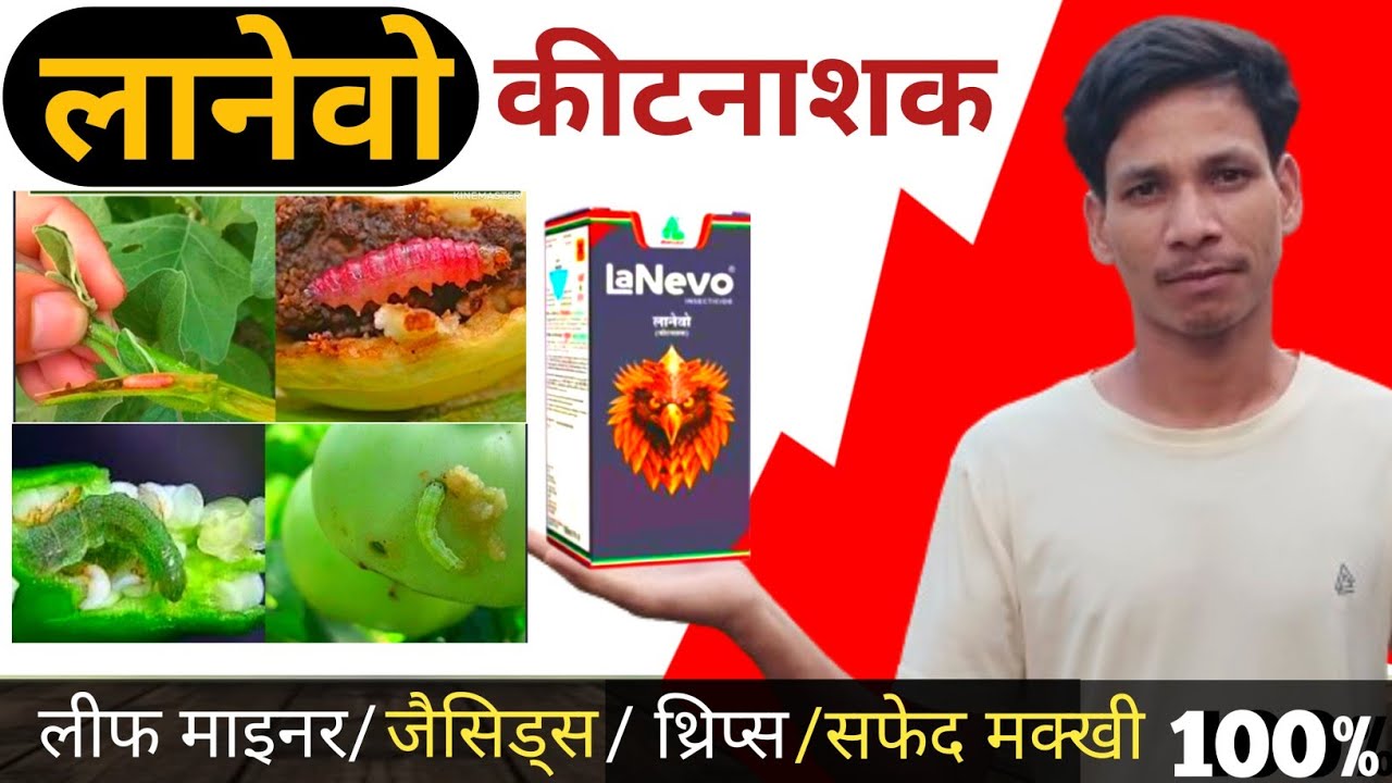 Dhanuka Lanevo Insectoci | धानुका का नया कीटनाशक | लानेवों कीटनाशक ...