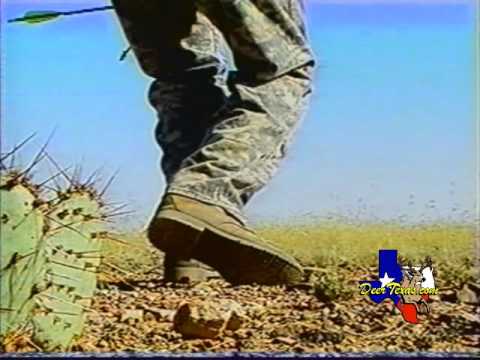 Scott Thrash stalks a Pronghorn while bow hunting - YouTube