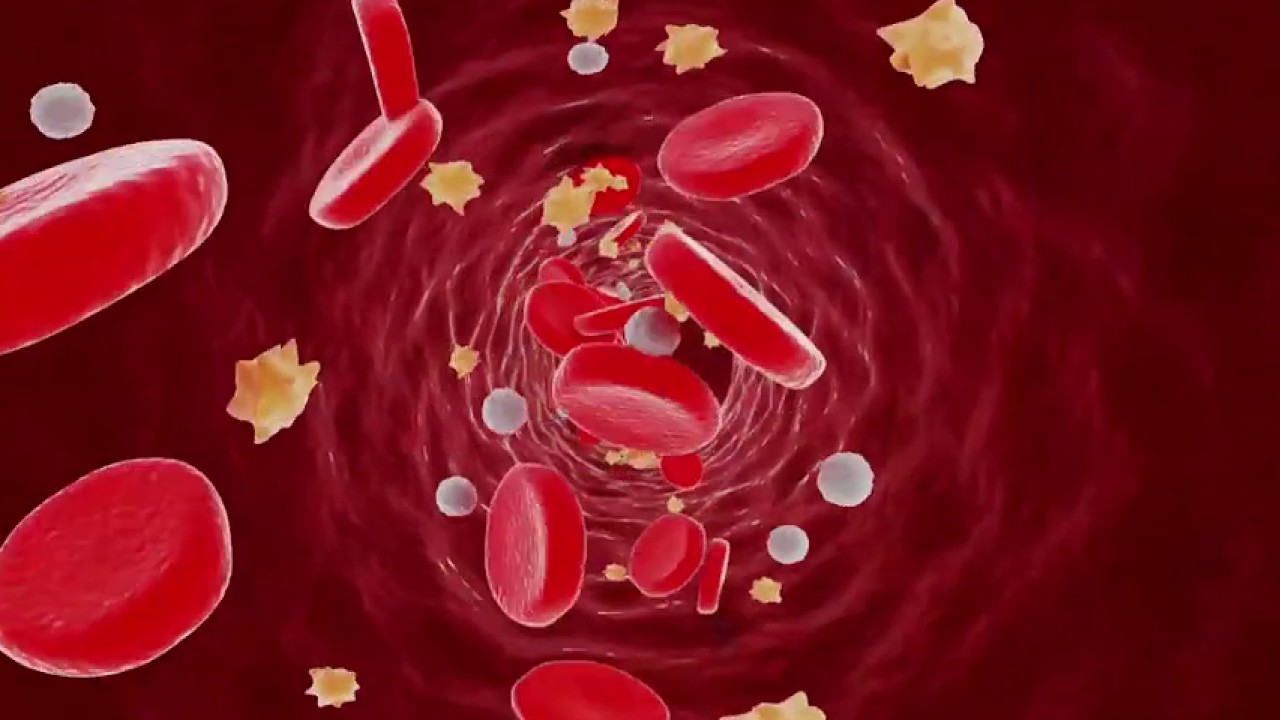 #VR Components of blood ( 360 Video) - YouTube