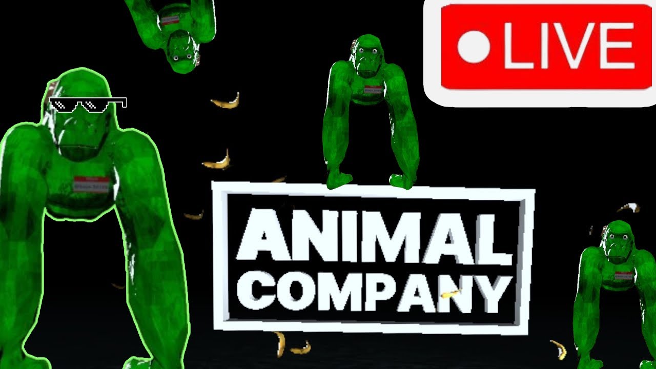 ANIMAL COMPANY LIVE WITH VIEWERS (ROAD TO 600) - YouTube