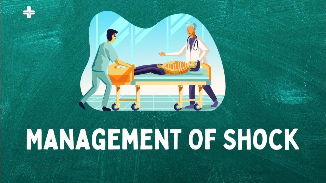 Management of Shock in emergency department (Emergency medicine) - YouTube