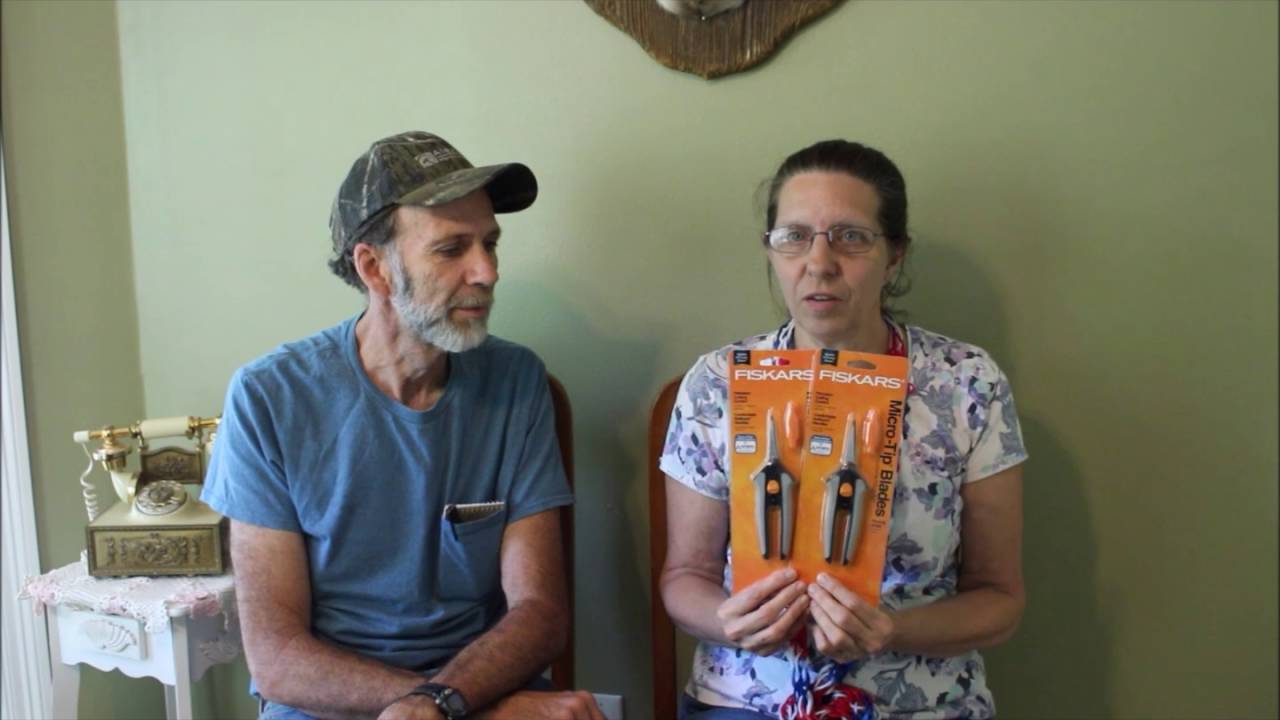 Chat with Danny and Wanda 6 10 - YouTube