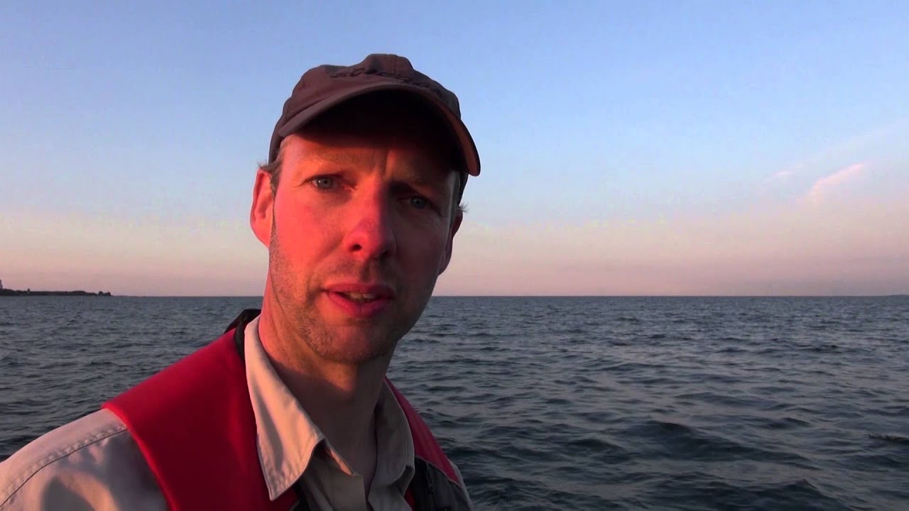 Verarbeitung Dorsch - YouTube