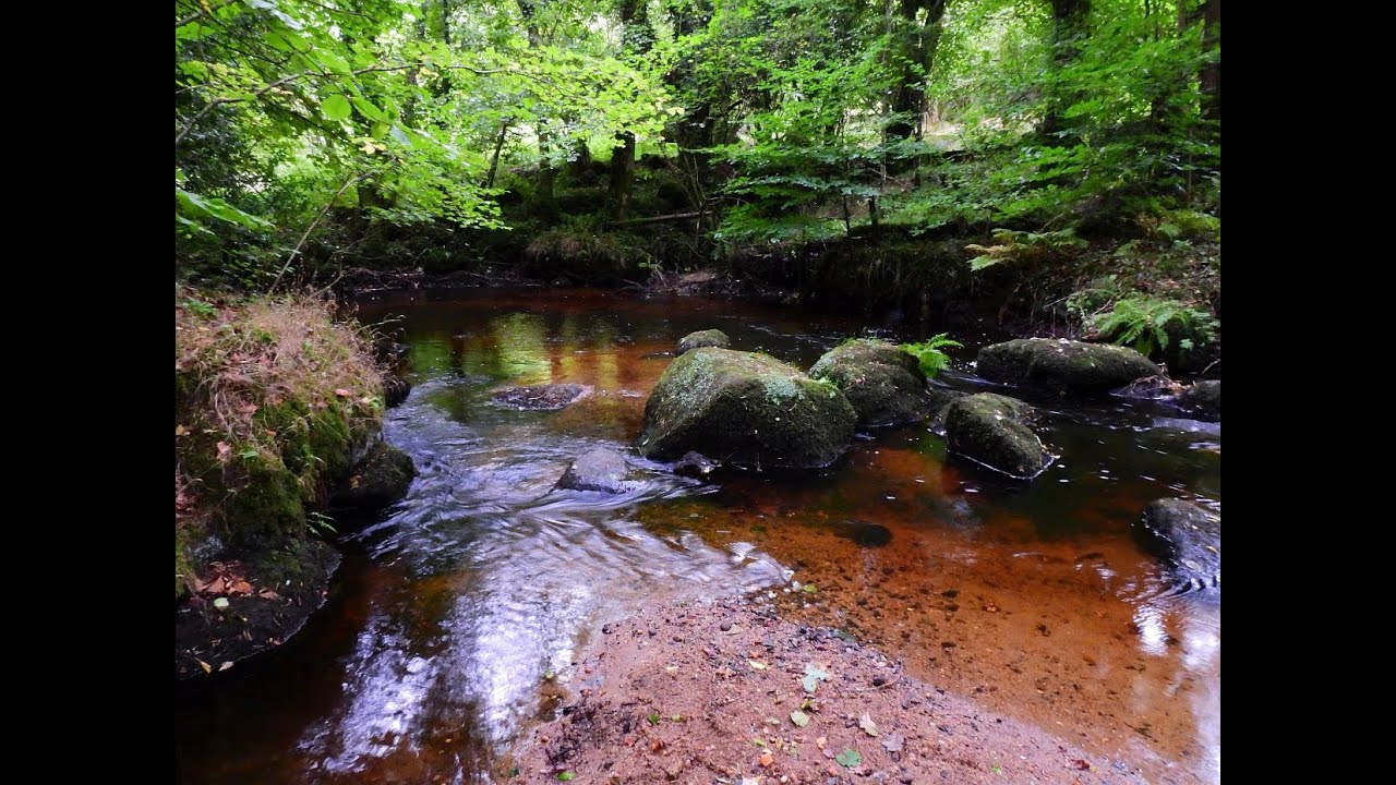 Autumn Acorns and Water Meditation - YouTube