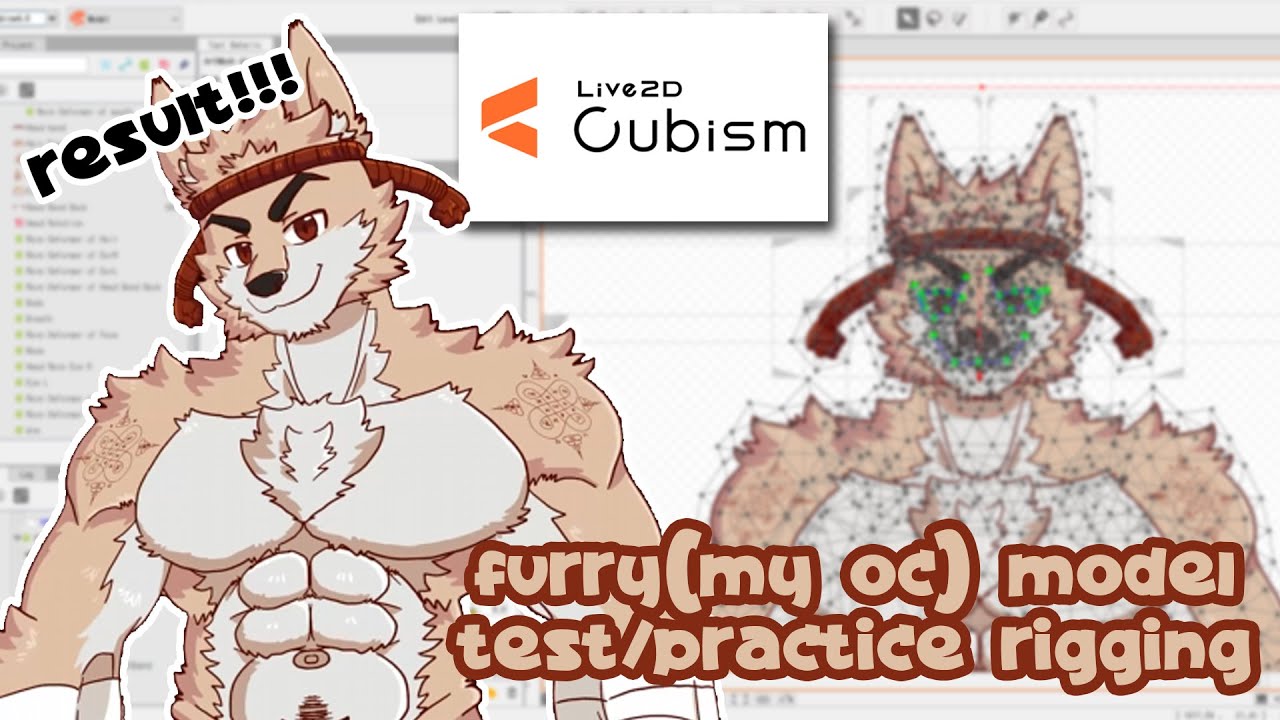 Furry(my oc)model test/practice rigging on live2d[Very Very beginner ...