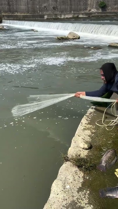 cara menangkap ikan dengan jaring laba-laba,mudah langsung dapat banyak. - YouTube