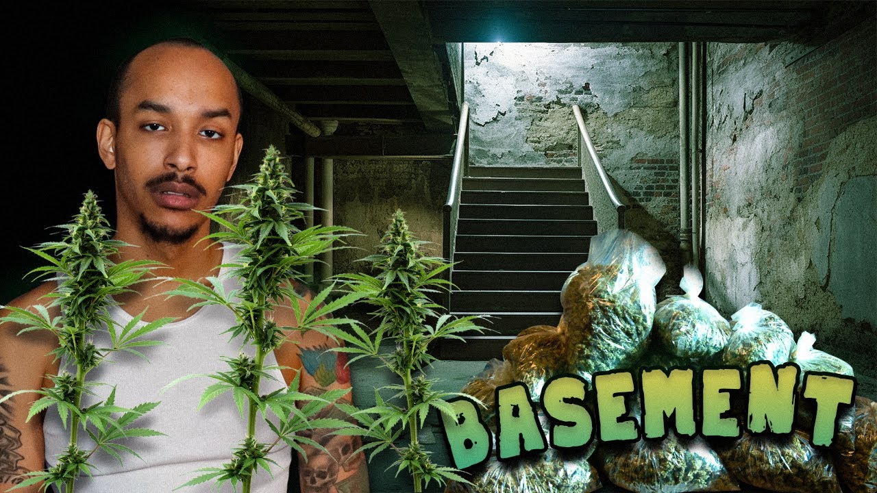 Built a Trap Lab in the Basement... - YouTube