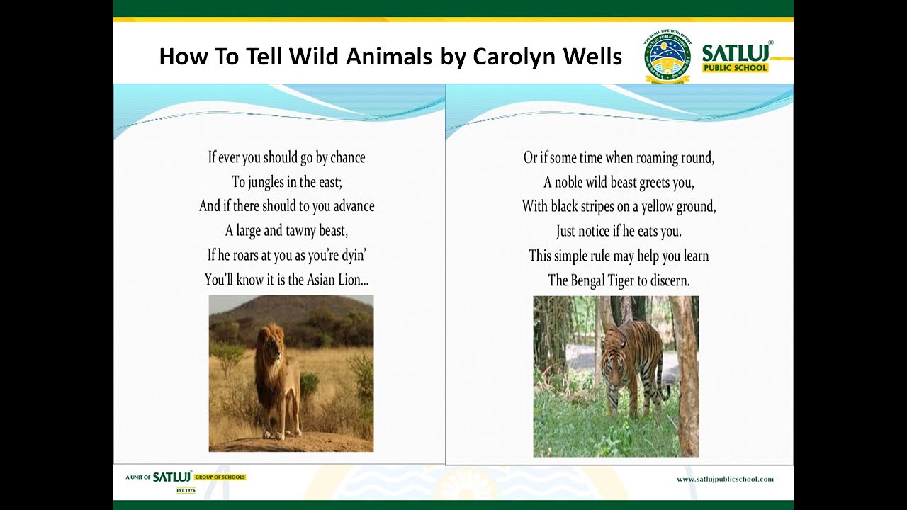 How To Tell Wild Animals - YouTube