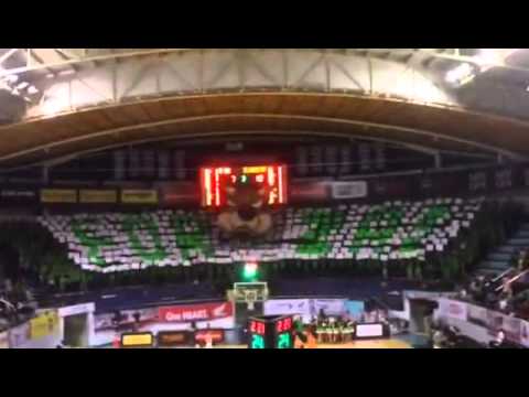 Coreo Songo Mania at DBL 2015 - YouTube