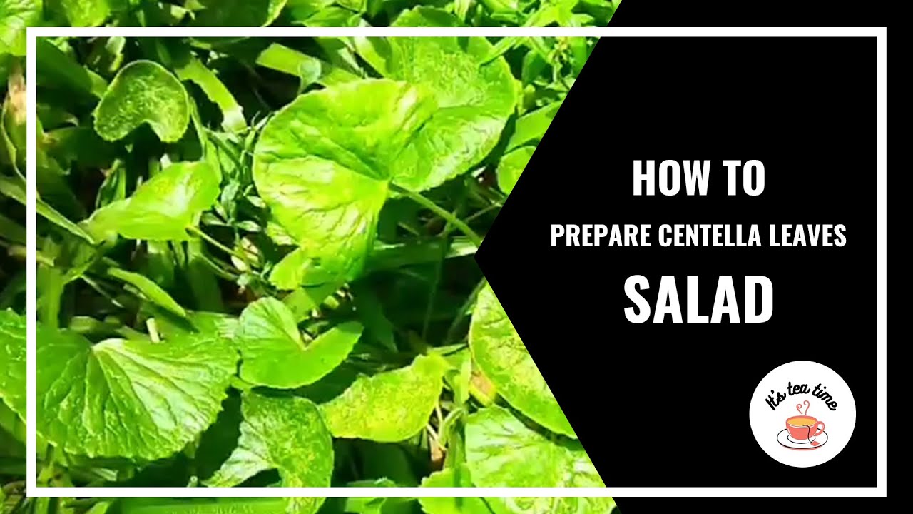 How to prepare a centella leaves (gotukola) salad - YouTube