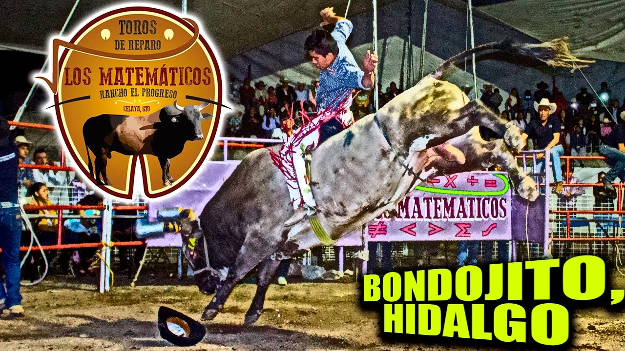 ELEGANTES Y RAPIDOS!!! RANCHO EL PROGRESO DEL ING. DOMINGUEZ EN ...