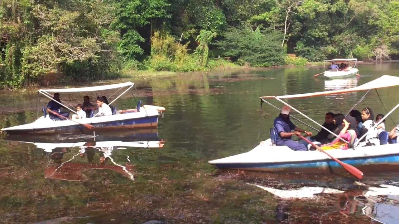 Row Boats at Pookode Lake, Wayanad - YouTube