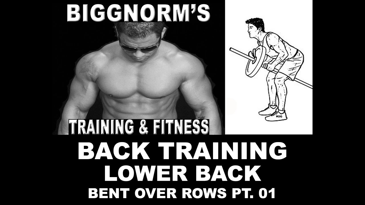 Back Training - LOWER BACK (Bent Over Rows) 01 - YouTube