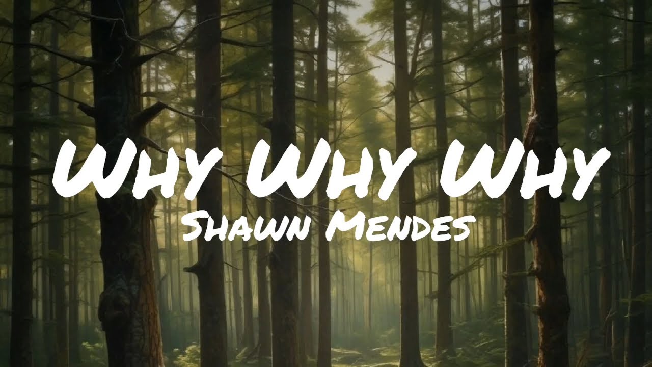 Shawn Mendes - Why Why Why (Lyrics) - YouTube