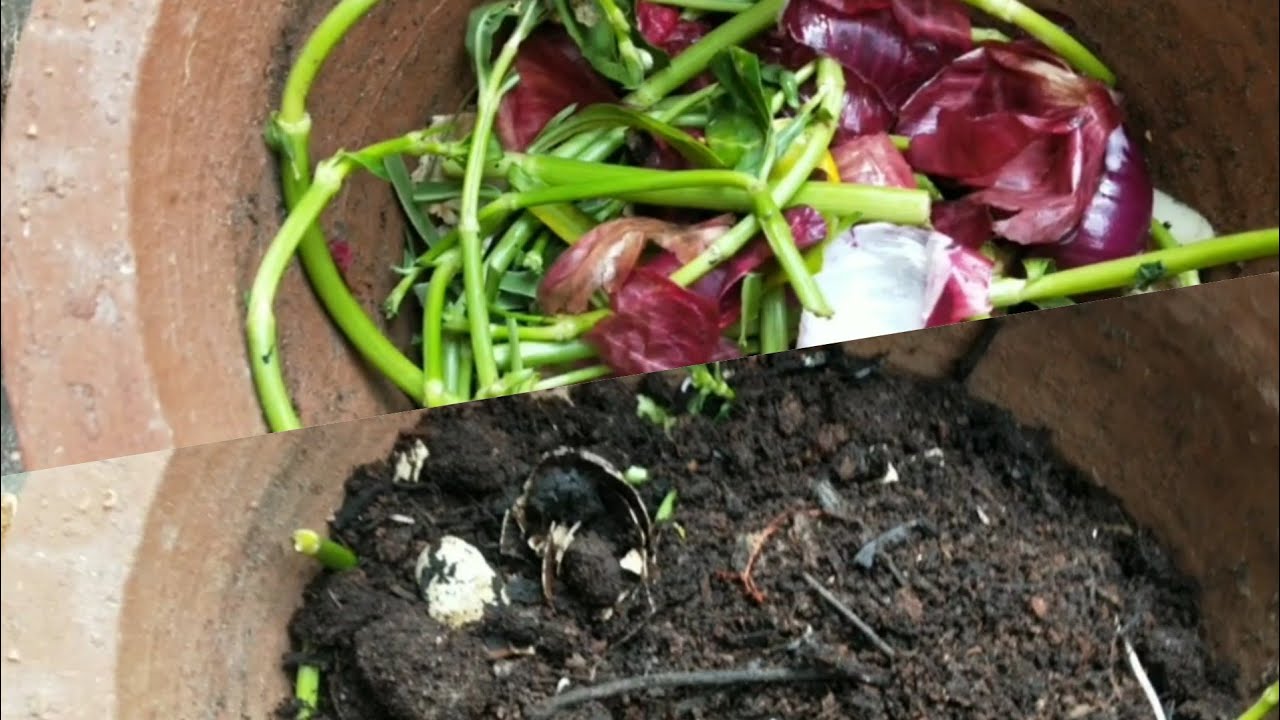 Make compost (కిచెన్ వేస్ట్ /కంపొస్ట్) in 21 to 30 days easily from ...