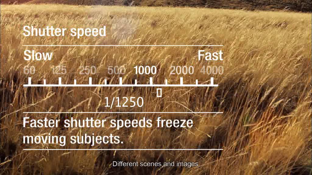 Canon EOS 600D TV advertisement Hong Kong (with subtitle) - YouTube