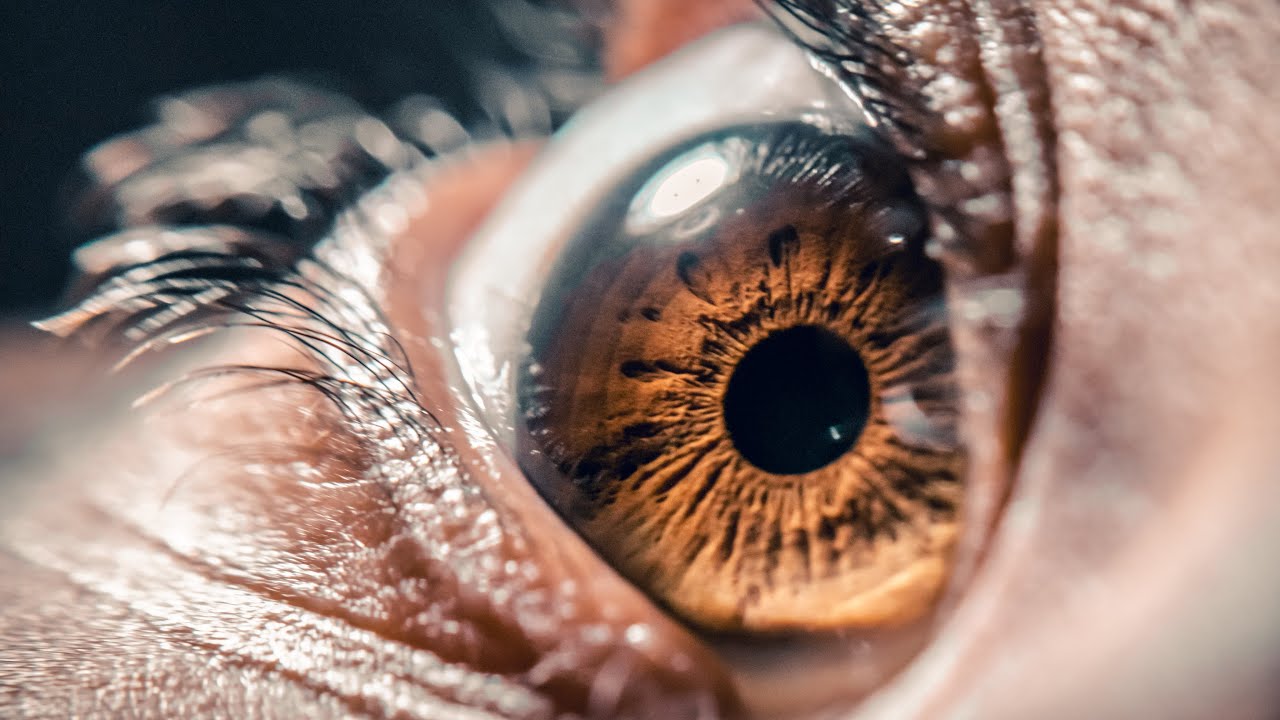 Macro Photography Without A Macro Lens Photopostsblog Macro Photography Without A Macro Lens Photopostsblog