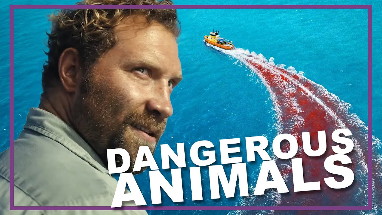 Inside Dangerous Animals: Survival, Sharks & Serial Killers - YouTube